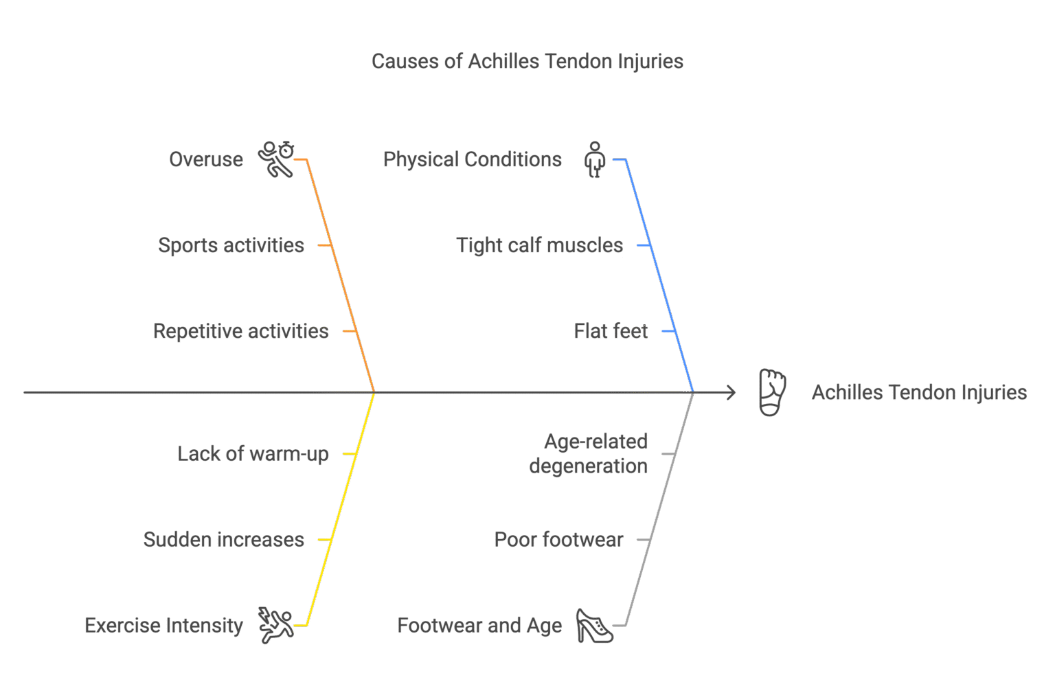 Achilles Tendon Injury - Orthopaedic Associates of Wisconsin